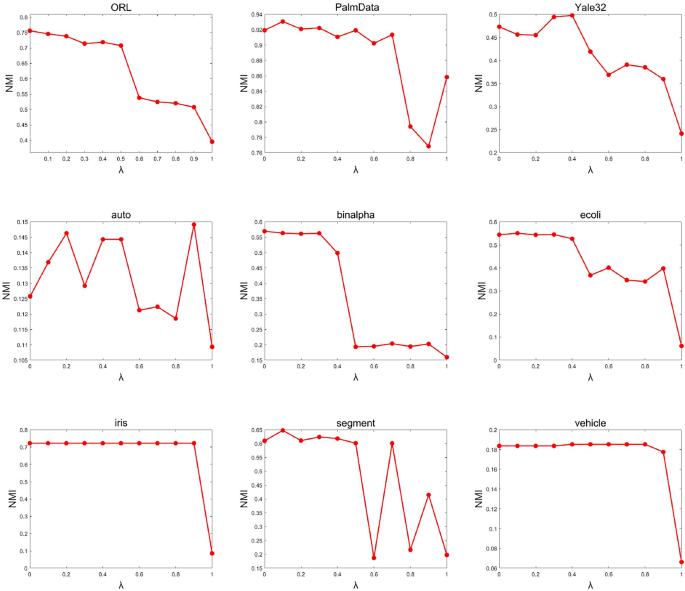 Joint clustering and feature selection based on trace ratio model and coordinate descent method ...