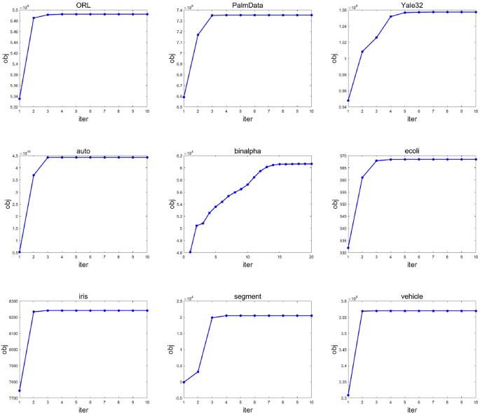 Joint clustering and feature selection based on trace ratio model and coordinate descent method ...