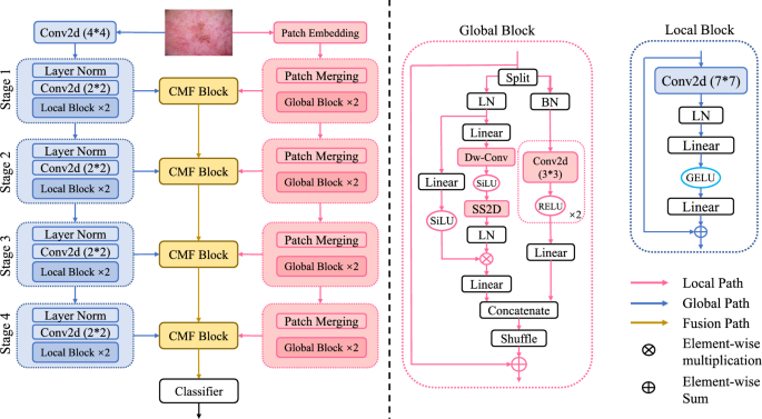 CMFuse: a hierarchical feature fusion model combining convolution and ...