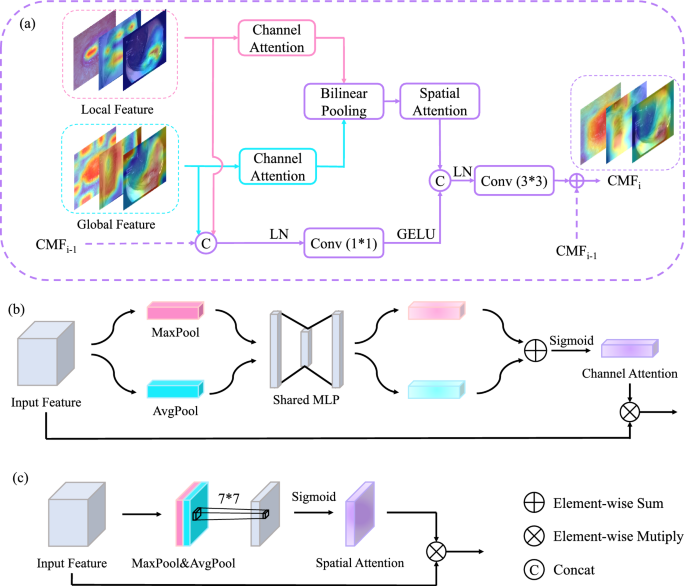 CMFuse: a hierarchical feature fusion model combining convolution and ...