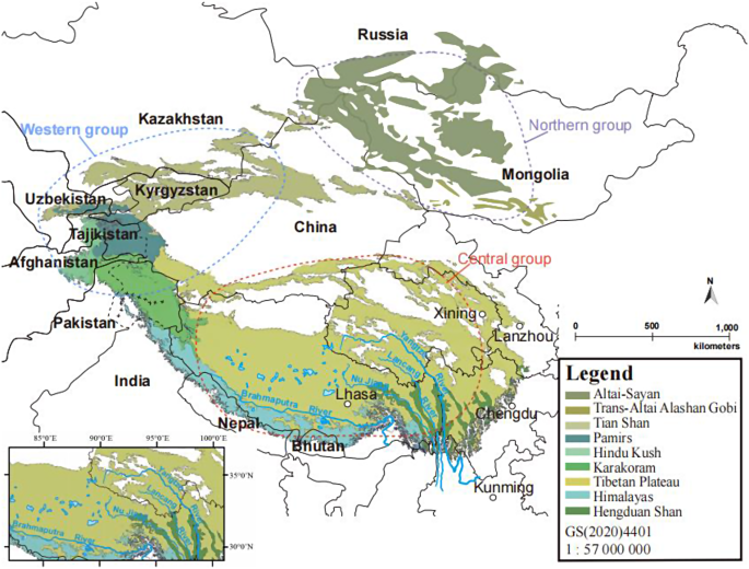 Mitochondrial genomes reveal low genetic diversity in snow leopards ...