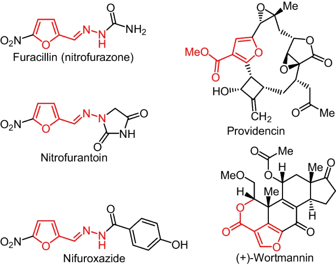 Synthesis and structure of new substituted furan-3-carboxylate ...
