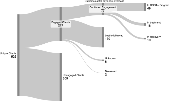 Using RE-AIM Framework to Evaluate Recovery Opioid Overdose Team Plus ...