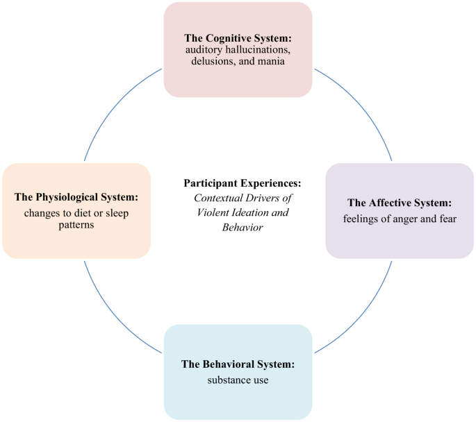 Understanding Violent Behavior in Early Psychosis Through the Fluid ...