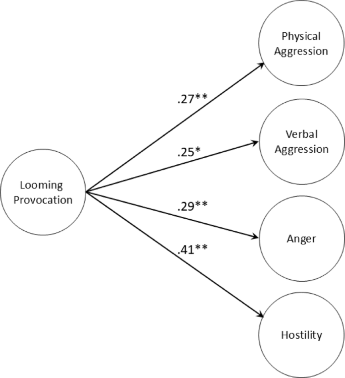 Introducing Looming Provocation: A Novel Cognitive Expectancy Style ...