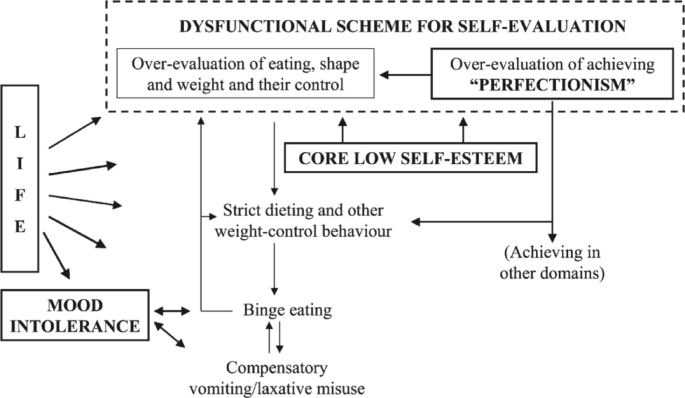 A Transdiagnostic Model of Eating Disorders—Comparing Symptom ...
