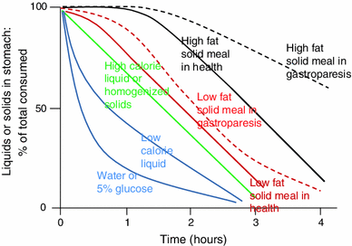 Novel and Validated Approaches for Gastric Emptying Scintigraphy in ...