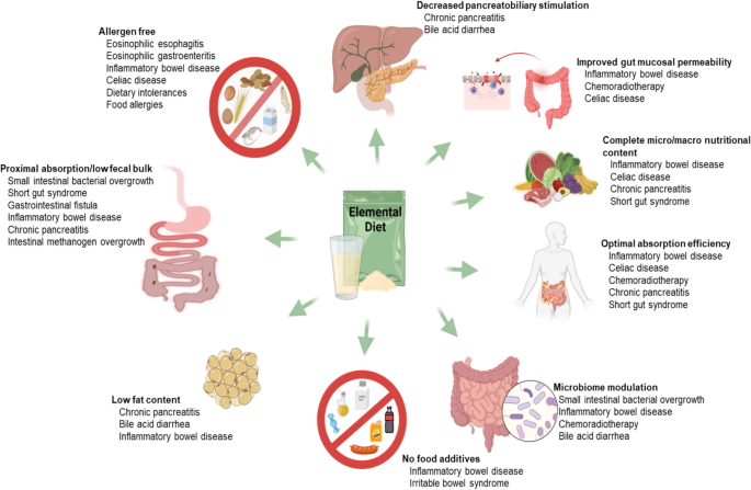 Elemental Diet as a Therapeutic Modality: A Comprehensive Review ...