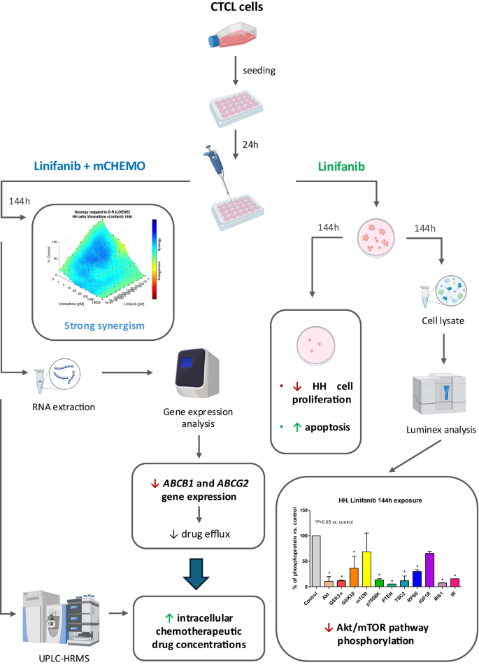 Linifanib alone and in combination with metronomic chemotherapy is ...