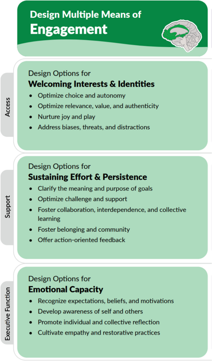 Empowering access: Integrating multiple means of engagement when ...
