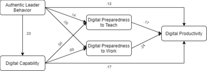 Enhancing digital productivity and capability in higher education ...