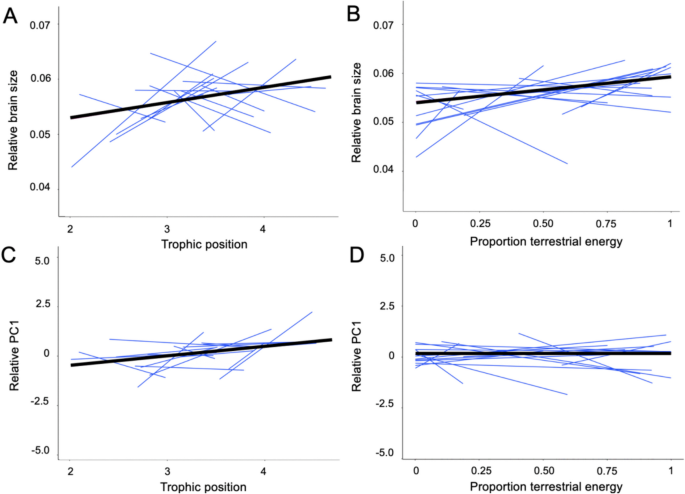 Brain form and foraging behaviour in a stream fish | Environmental ...