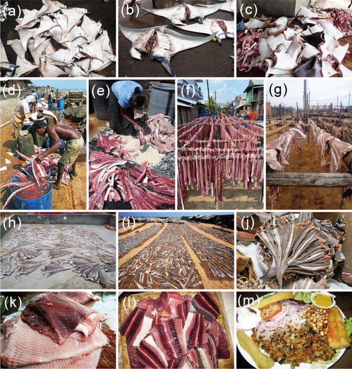 Global assessment of manta and devil ray gill plate and meat trade ...