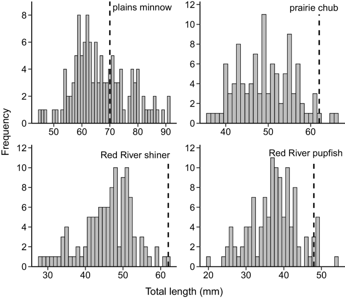 Application of fin tissue for nonlethal stable isotope analysis of ...