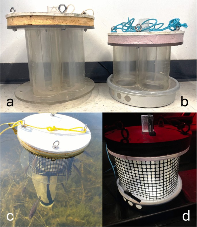Use of exclusion mesh improves sampling efficacy of larval fishes ...