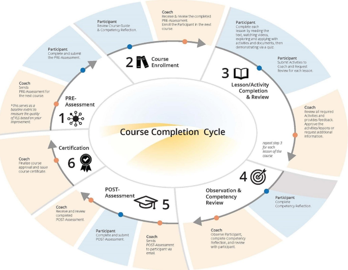 Examining the Implementation of the VLS Momentum Project: A Hybrid ...