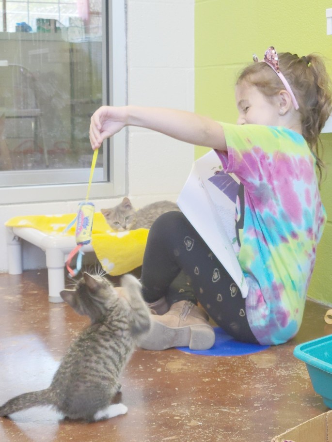 “Kitty Litter-ature”: Exploring Children’s Playful Reading with Shelter ...