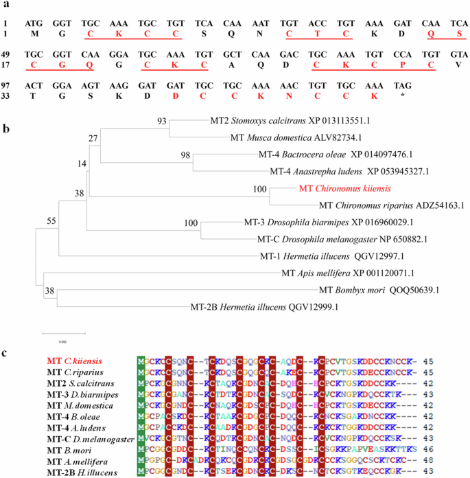Role of metallothionein gene in Cd and Pb detoxification in Chironomus kiiensis | Ecotoxicology