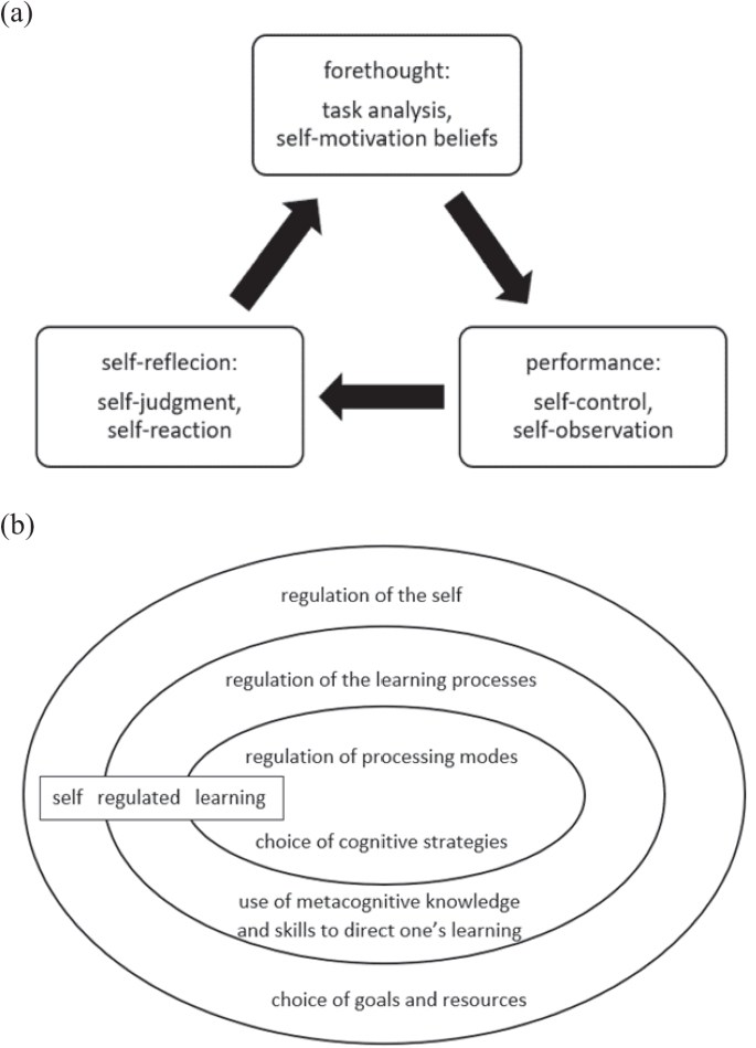 The Relationship Between Self-Regulated Learning and Executive Functions—a Systematic Review ...