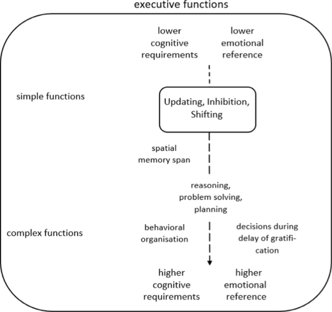 The Relationship Between Self-Regulated Learning and Executive Functions—a Systematic Review ...
