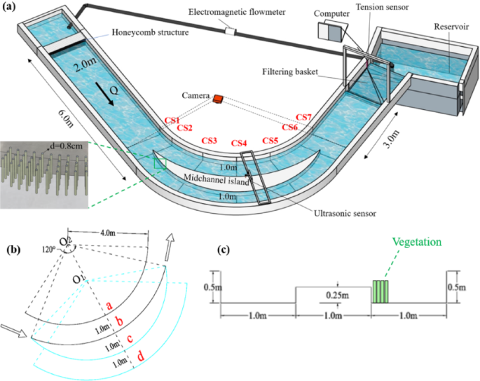 The effect of emergent vegetation on bedload transport pathways in a ...