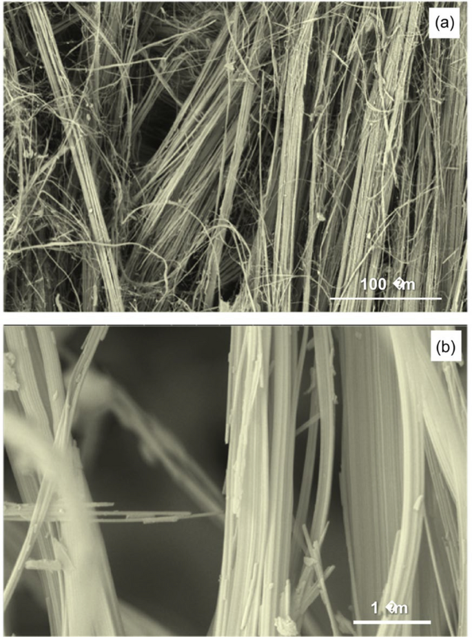 Microwave-assisted acid treatment for the mineral transformation of ...