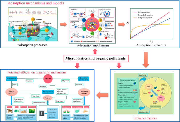 Microplastics supply contaminants in food chain: non-negligible threat ...