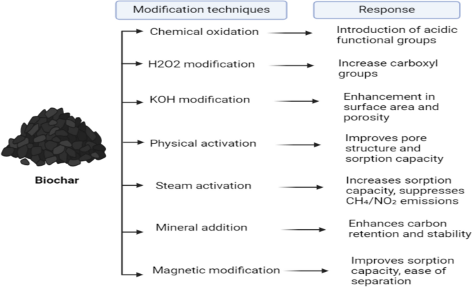 Biochar-based adsorption for heavy metal removal in water: a sustainable and cost-effective ...