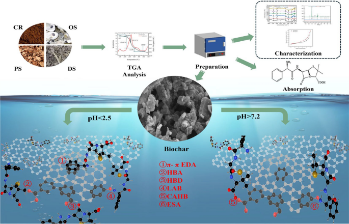 Preparation and characterization of biochar from four different solid ...