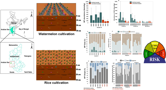 Microplastic and trace element contamination in coastal agricultural soils of southern India: a ...