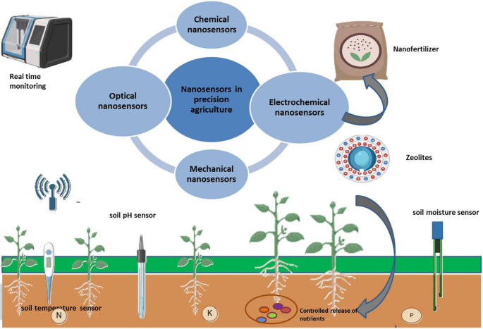 Smart nano-fertilizers: a path to sustainable agriculture ...