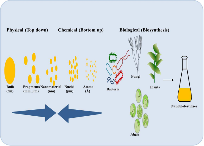 Smart nano-fertilizers: a path to sustainable agriculture ...