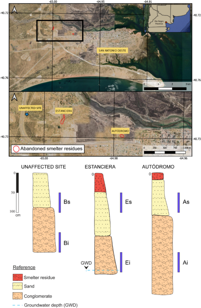 Lead (Pb) retention in sandy sediments impacted by acid mine drainage ...