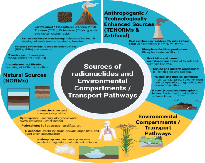 Unraveling the nexus of natural radioactivity and radio ...