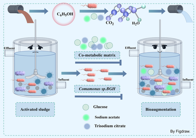 A novel simultaneous short-course nitrification, denitrification and ...