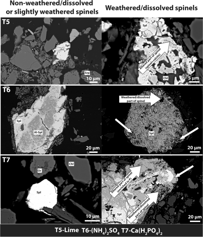 Effect of soil additives on biogeochemistry of ultramafic soils—an ...