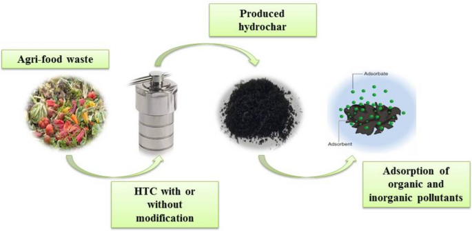 Revolutionizing waste: Harnessing agro-food hydrochar for potent adsorption of organic and ...