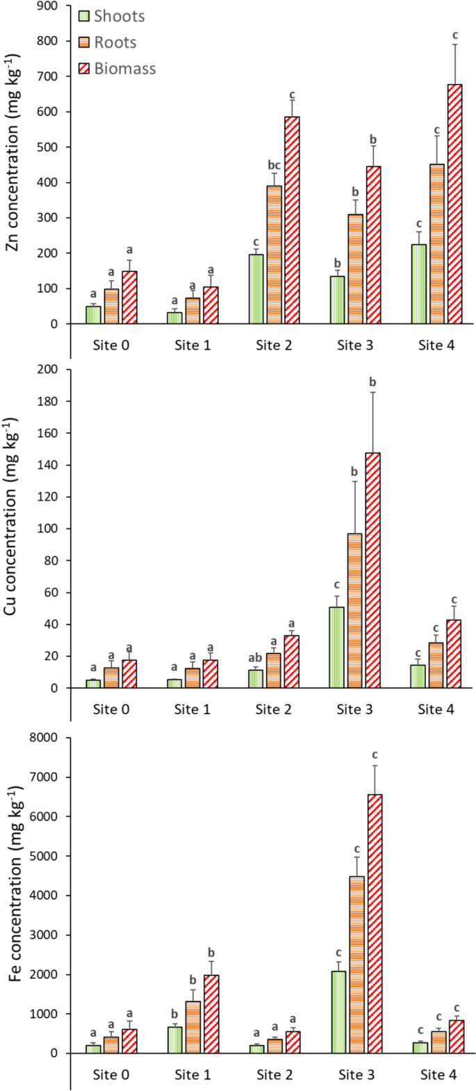 Environmental monitoring of La Concordia mine (Salta province ...
