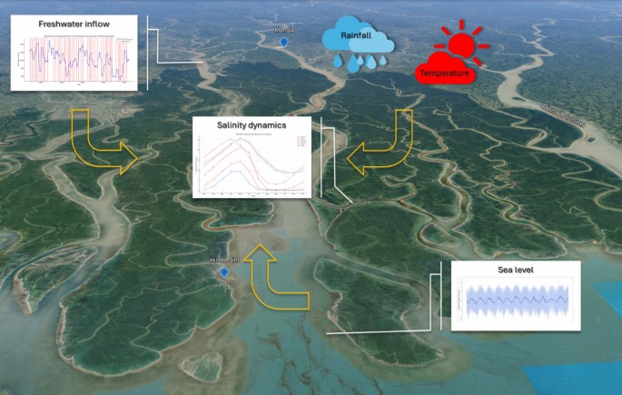 Salinity dynamics in the Sundarbans of Bangladesh: influence of climate ...