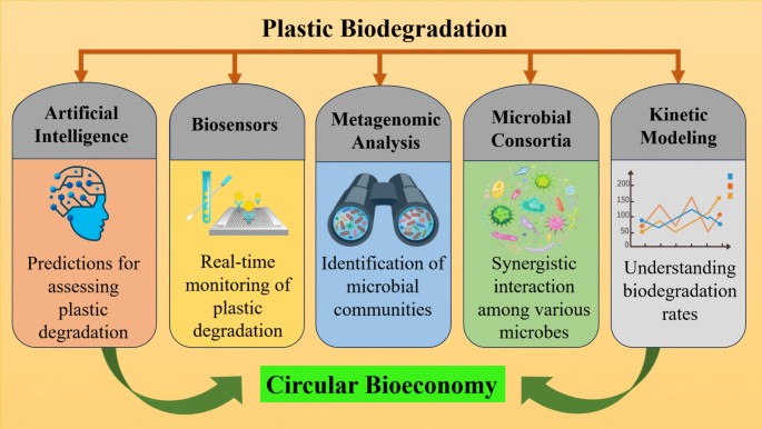 Pioneering approaches to plastic biodegradation and upcycling for ...