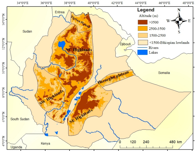 From degradation to restoration: addressing the environmental ...