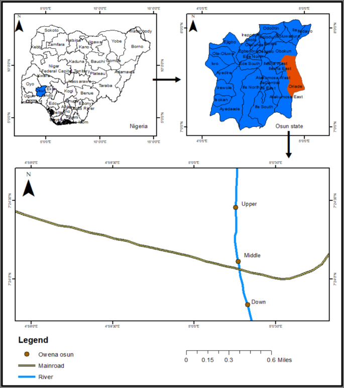 Occurrence and distribution of microplastics in water, sediment, and ...