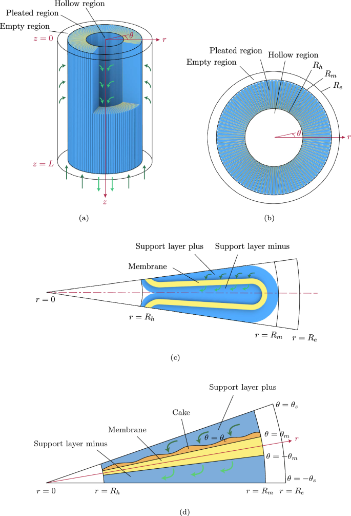 Effects of cake formation on flow and transport in a pleated membrane ...