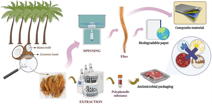 Coconut husk: A sustainable solution for eco-friendly packaging ...