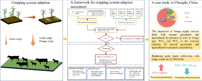 Toward crop–livestock integration: a comprehensive framework for ...