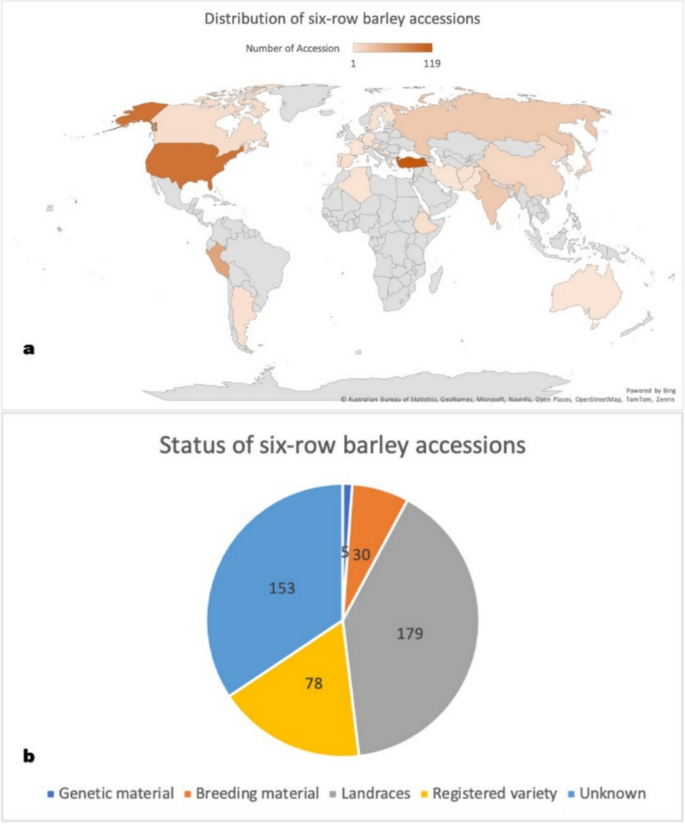 Agro-morphological characterization and machine learning-based ...