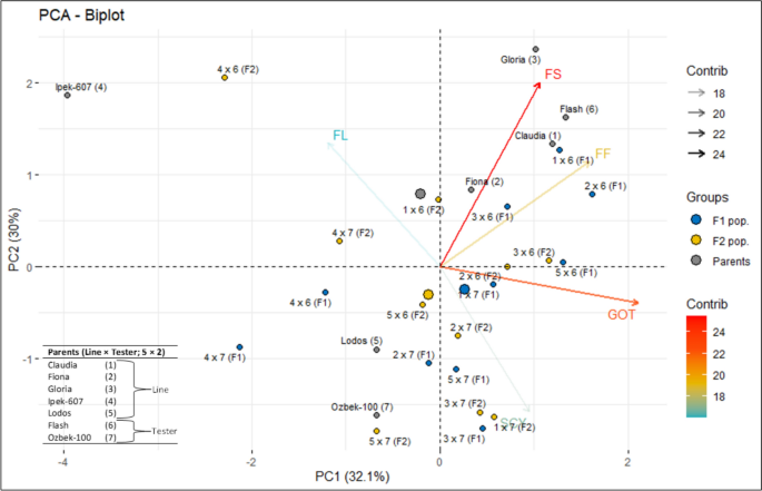 Transgressive segregation in cotton (Gossypium hirsutum L.) affects the ...