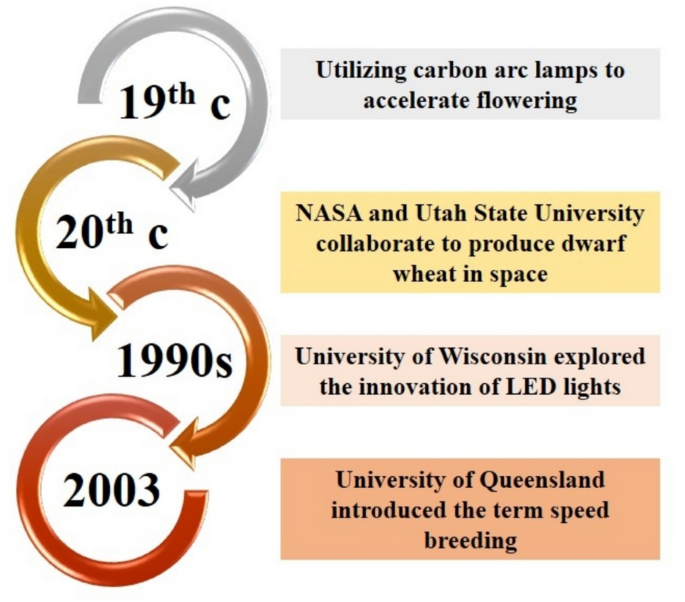 Advancing agriculture through speed breeding: protocols, integration ...