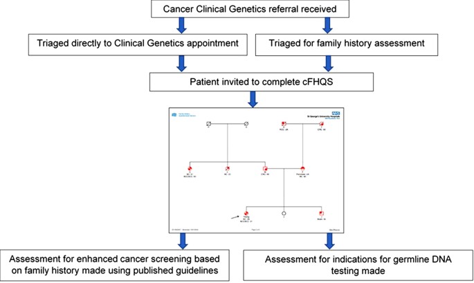 Digital innovation for cancer risk assessment allows large-scale ...