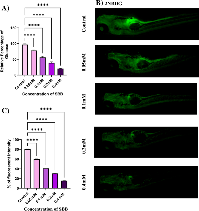 Textile azo dye, Sudan Black B, inducing hepatotoxicity demonstrated in ...
